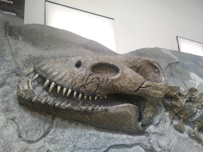 Museo Regional Provincial Padre Jesus Molina - Río Gallegos - Ubicación ...